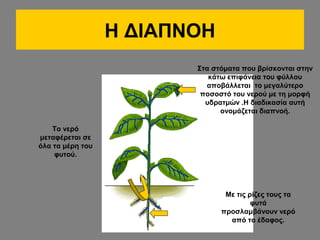 διαπνοή | PPT
