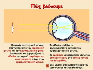 το μάτι μας | PPT