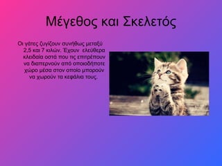 γάτα | PPT