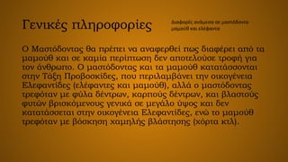 μαστόδοντας | PPT
