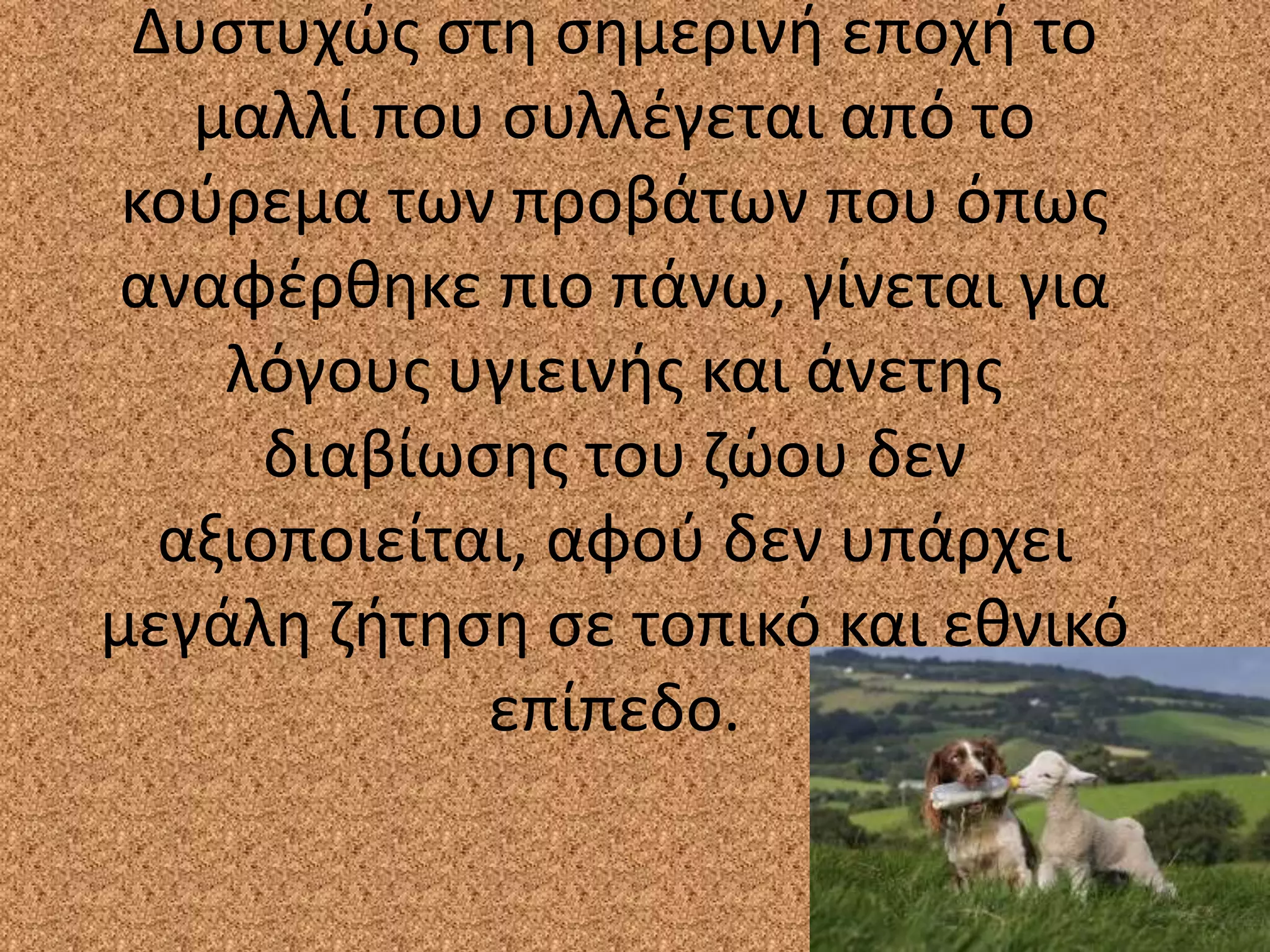 προβατο | PPTX