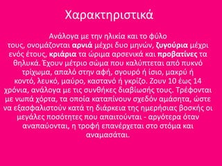 προβατο | PPT