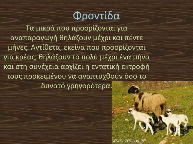 προβατο | PPT