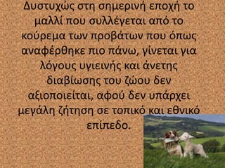 προβατο | PPTX