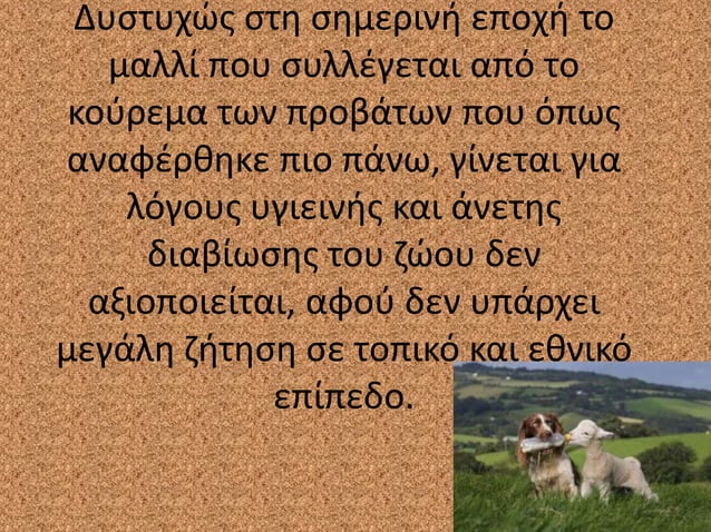 προβατο | PPT | Free Download