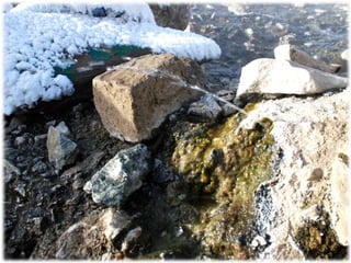 Eruul amralt Emchilgee suwilgaa | PPTX