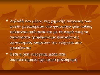 Ροή ενέργειας στα οικοσυστήματα | PPT