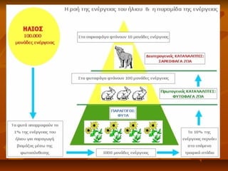 Ροή ενέργειας στα οικοσυστήματα | PPT