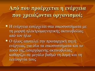 Ροή ενέργειας στα οικοσυστήματα | PPT