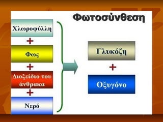 Ροή ενέργειας στα οικοσυστήματα | PPT