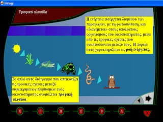 Τροφική... αλυσίδα, πλέγμα, πυραμίδα | PPT