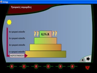 Τροφική... αλυσίδα, πλέγμα, πυραμίδα | PPT