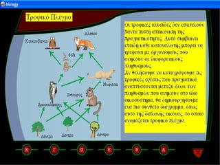 Τροφική... αλυσίδα, πλέγμα, πυραμίδα | PPT
