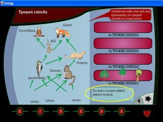 Τροφική... αλυσίδα, πλέγμα, πυραμίδα | PPT