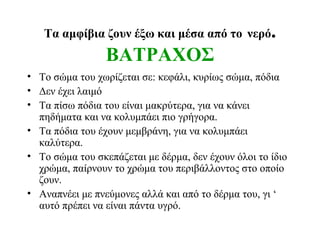 Τα ζώα | PDF