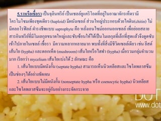 โครงงาน เพาว์เวอร์พอย | PDF