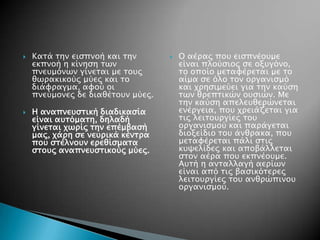 ΦΥΣΙΚΗ - ΑΝΑΠΝΕΥΣΤΙΚΟ ΣΥΣΤΗΜΑ -ΑΝΑΠΝΟΗ | PPT
