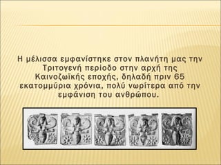 Μέλισσες (Α' 13-14) | PPT