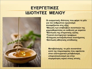 Μέλισσες (Α' 13-14) | PPT