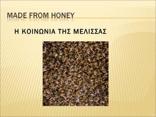 Μέλισσες (Α' 13-14) | PPT