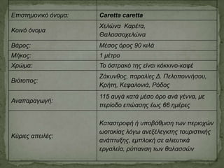 χελωνα καρετα καρετα | PPTX