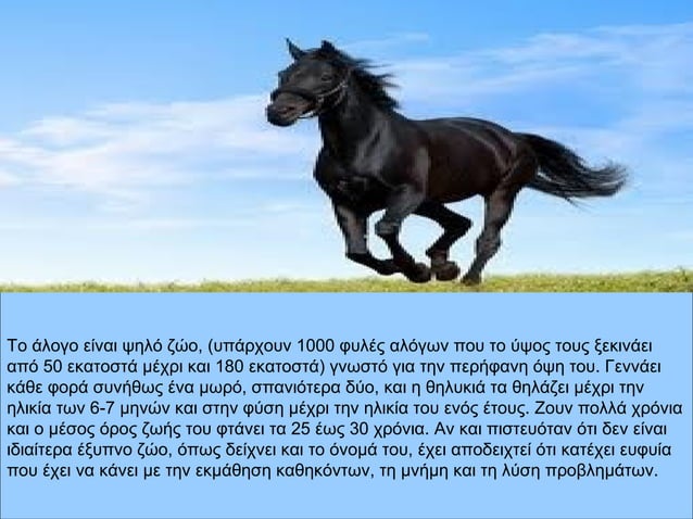 το αλογο | PPT