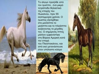 το αλογο | PPT