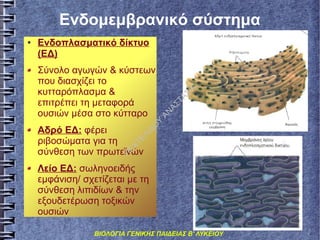 Κεφ.2: Κύτταρο η θεμελιώδης μονάδα της ζωής- ΒΙΟΛΟΓΙΑ Β' ΛΥΚΕΙΟΥ | PDF