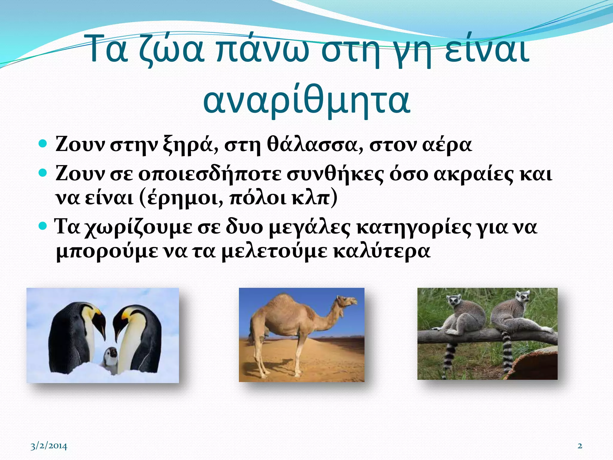 σπονδυλωτά και ασπόνδυλα ζώα | PPTX