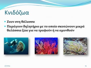 σπονδυλωτά και ασπόνδυλα ζώα | PPTX