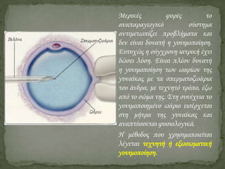 αναπαραγωγικό σύστημα | PPTX