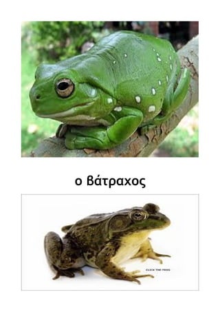 ζώα σε χειμερία νάρκη | PDF
