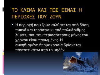 Οι Λάπωνες | PPTX