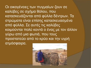 ΠΥΓΜΑΙΟΙ | PPT