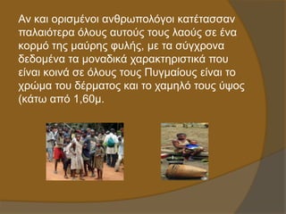 ΠΥΓΜΑΙΟΙ | PPT