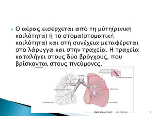 Φυσική Ενότητα 7 -Αναπνευστικο Συστημα | PPT