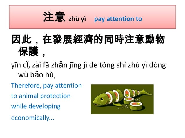 Mandarin, Animal Protection, IB | PPTX