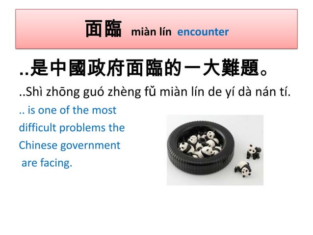 Mandarin, Animal Protection, IB | PPTX