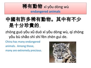 Mandarin, Animal Protection, IB | PPTX