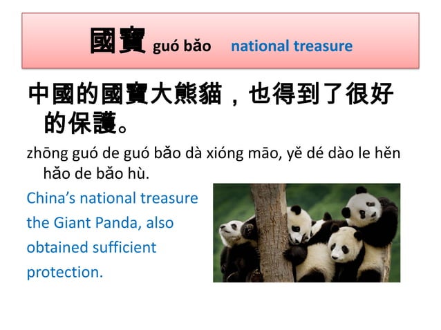 Mandarin, Animal Protection, IB | PPTX