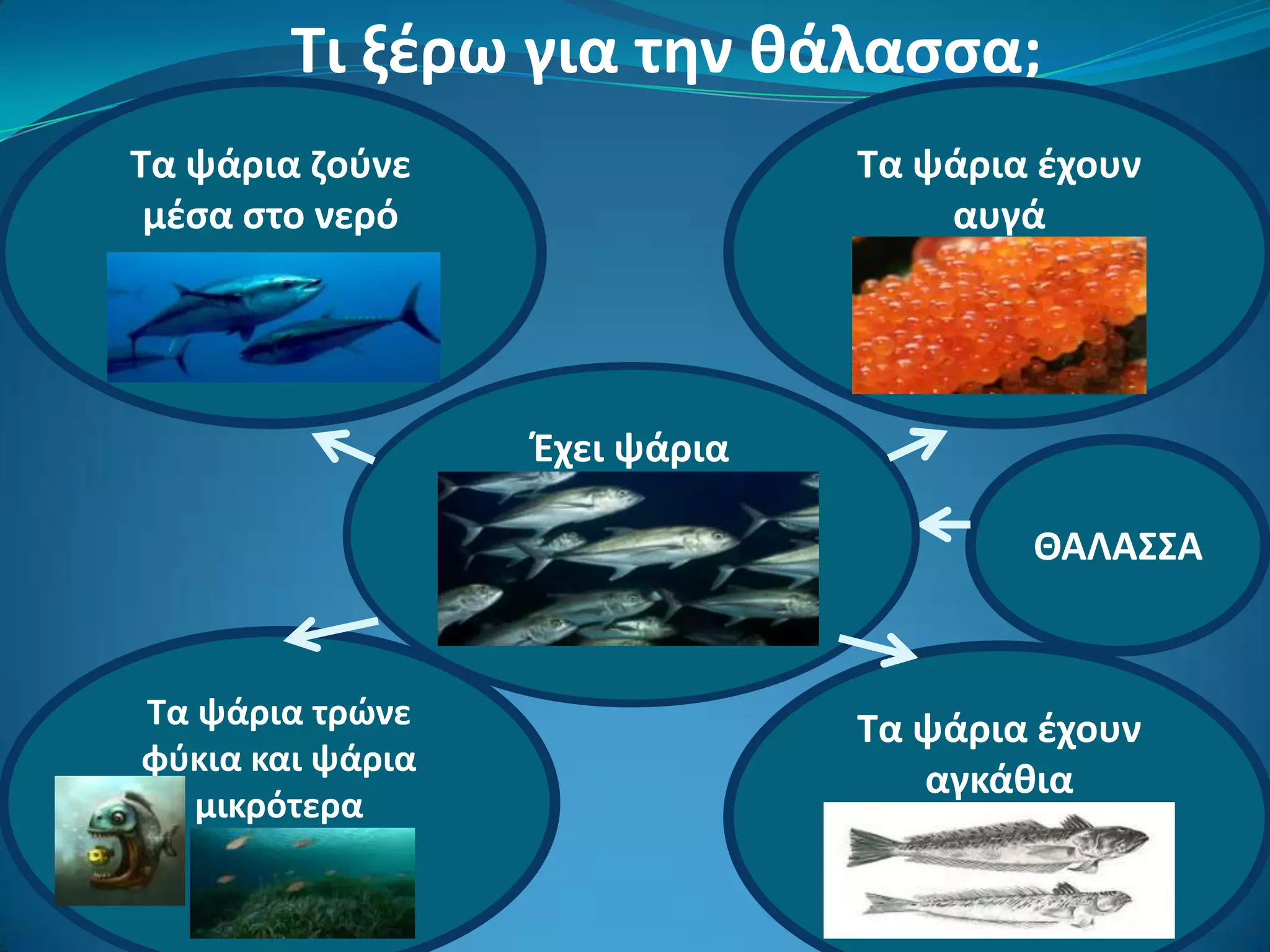 παρουσίαση τι ξερω για την θαλασσα | PPTX