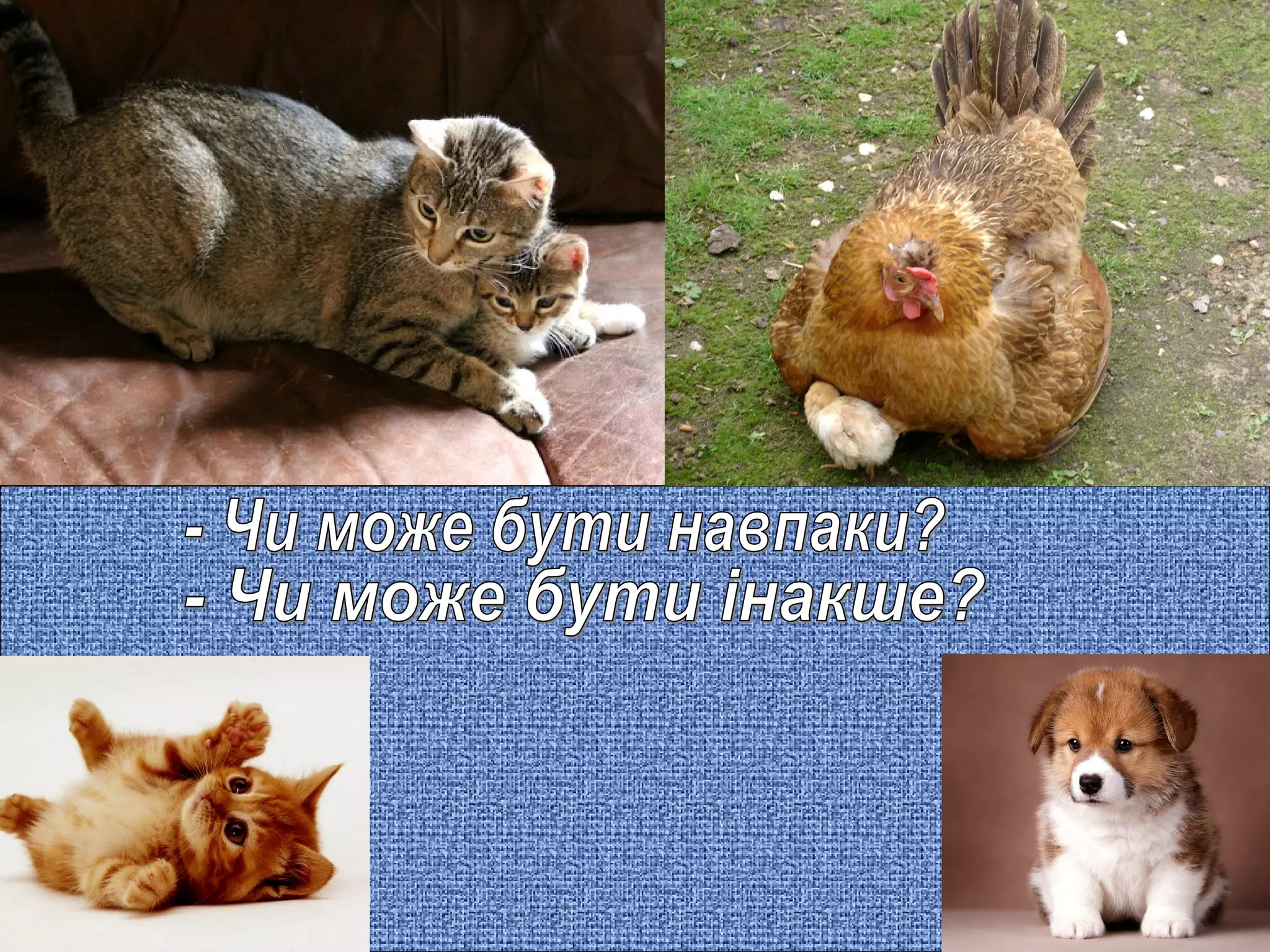 Logical ties between objects | PPT