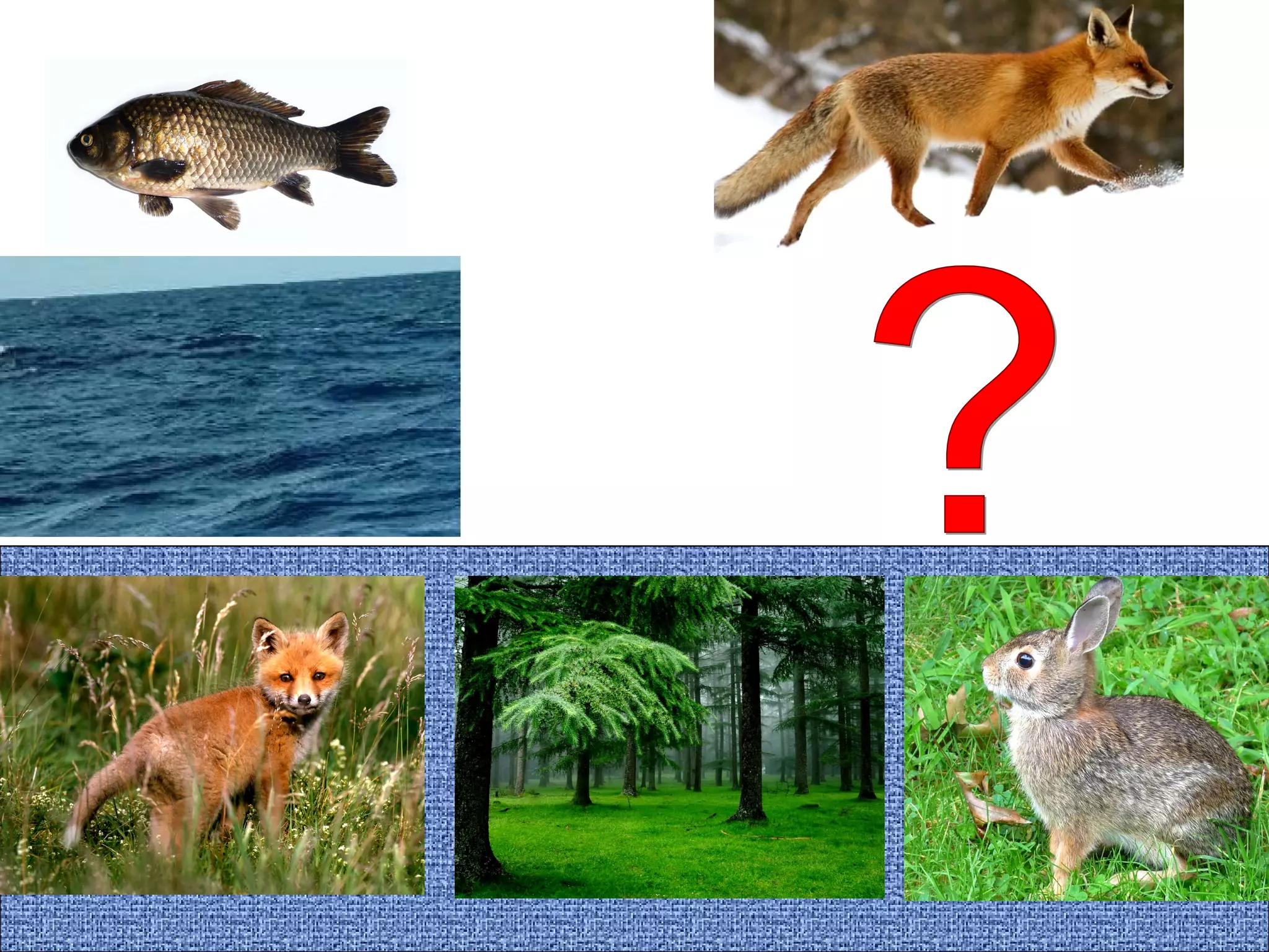 Logical ties between objects | PPT