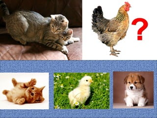 Logical ties between objects | PPT