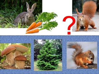 Logical ties between objects | PPT