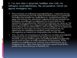 O μικρος πριγκιπας και η αλεπου | PPTX