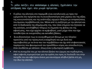 O μικρος πριγκιπας και η αλεπου | PPTX