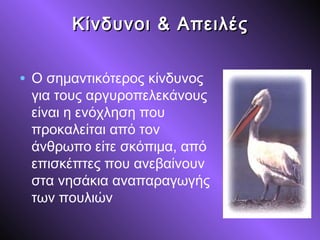 Ο ΑΡΓΥΡΟΠΕΛΕΚΑΝΟΣ | PPT
