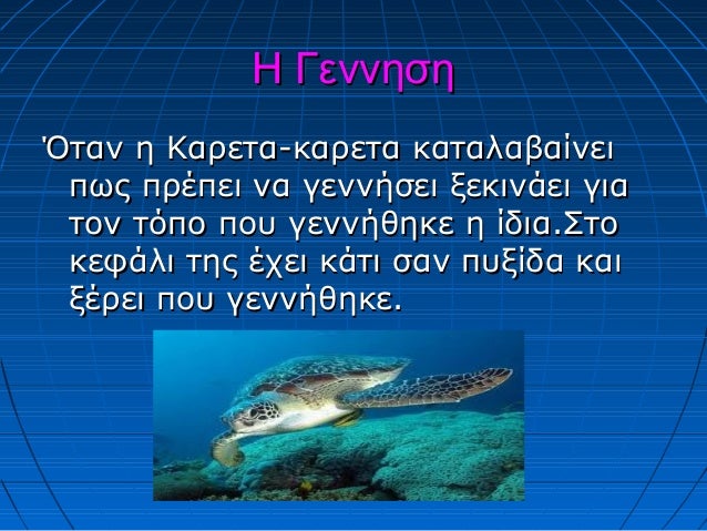 ΚΑΡΕΤΤΑ-ΚΑΡΕΤΤΑ