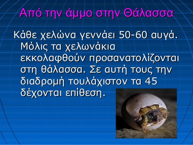 ΚΑΡΕΤΤΑ-ΚΑΡΕΤΤΑ